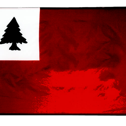 Historical Flags | Eagle Flag