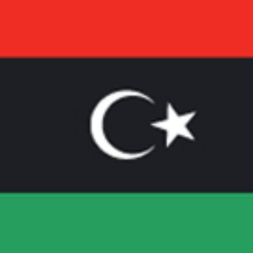 Libya | Eagle Flag